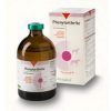 Phenylarthrite 100ml - MIRADUKES MAGNIFICENT SOLUTIONS