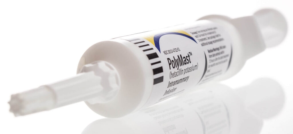 Polymast (hetacillin potassium) - MIRADUKES MAGNIFICENT SOLUTIONS