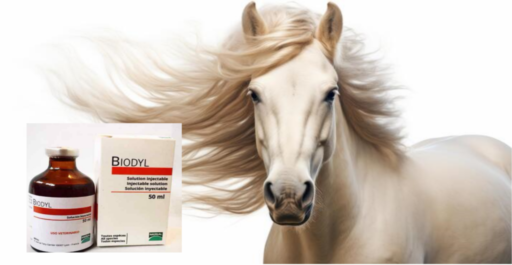 Biodyl Injection for Horses - MIRADUKES MAGNIFICENT SOLUTIONS