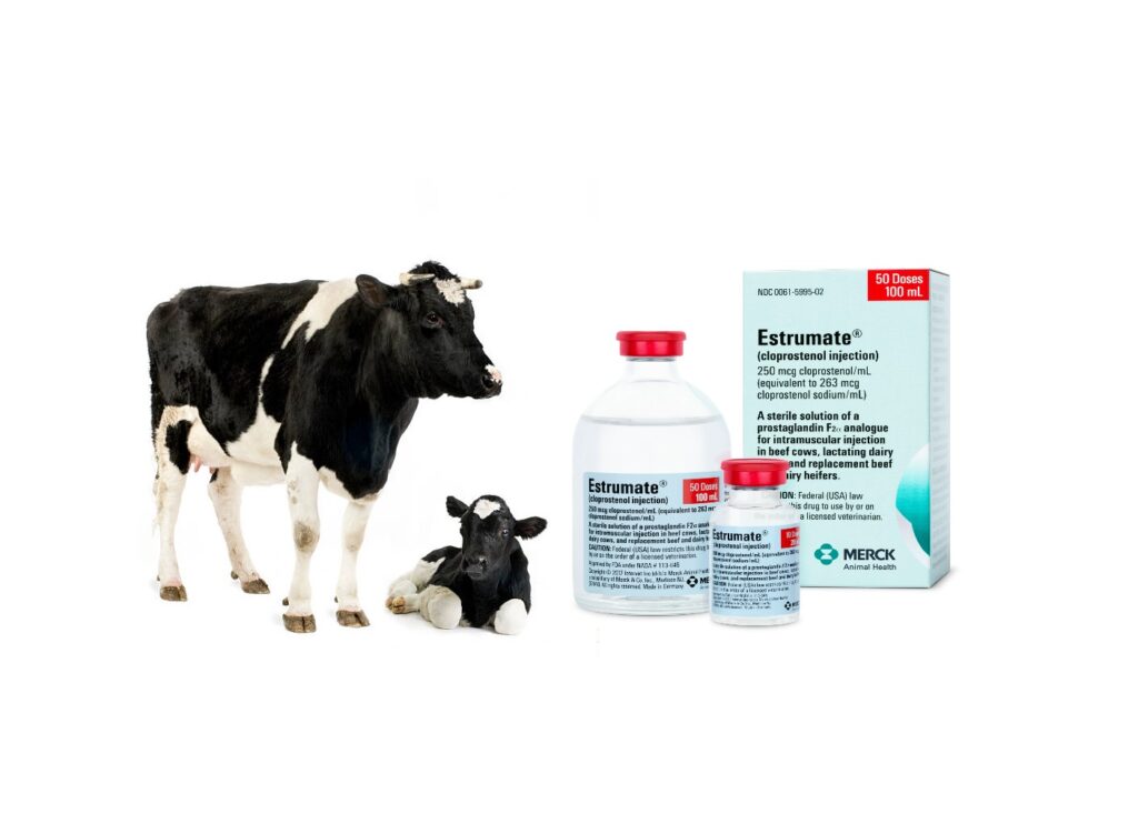 Estrumate Cloprostenol Injection for Cattle - MIRADUKES MAGNIFICENT ...